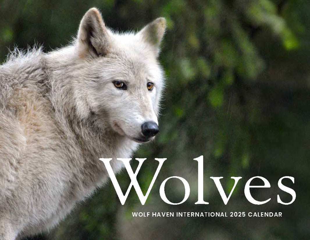 Shop | Wolf Haven International