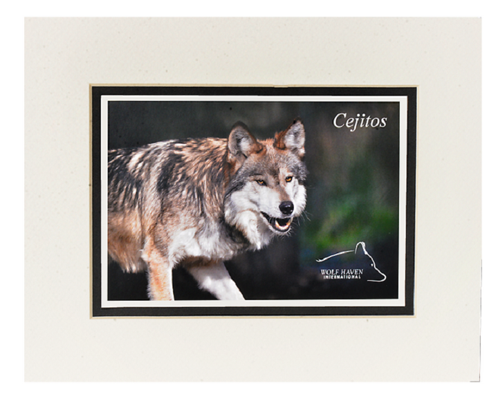 Products – Page 3 – Wolf Haven International